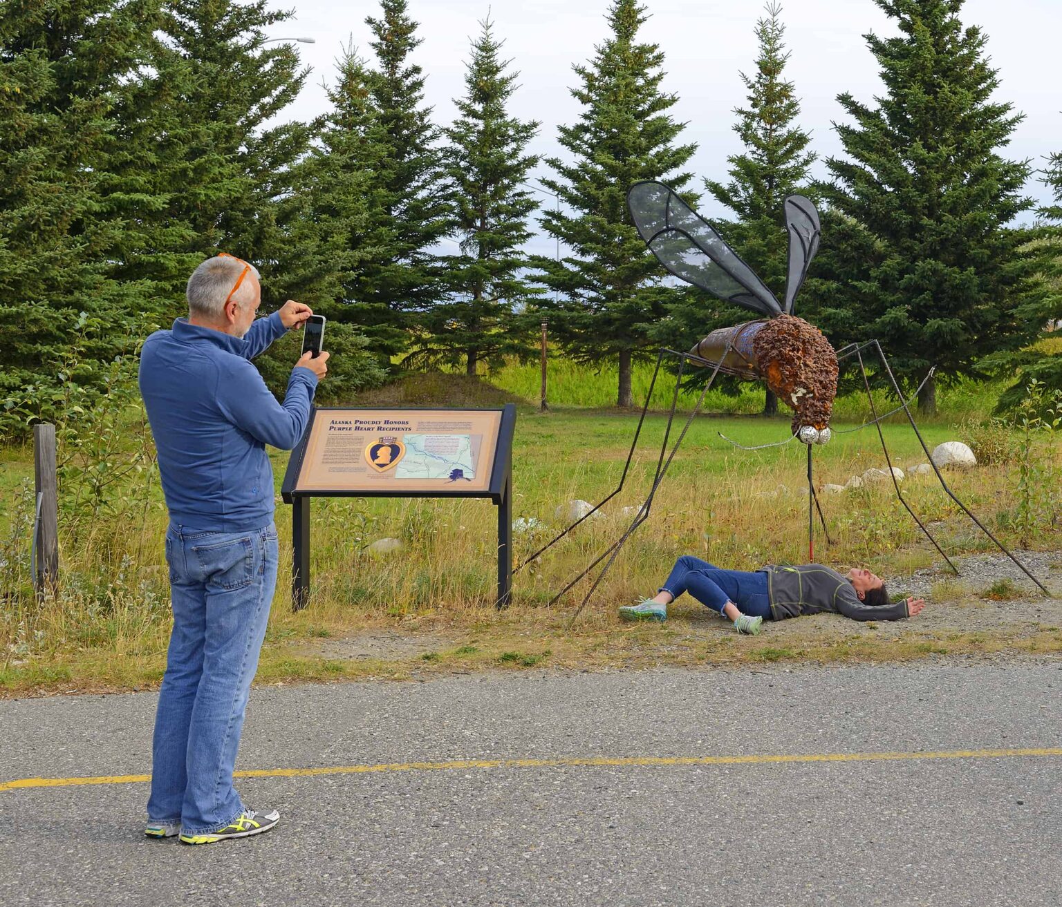 How To Deal With Mosquitoes On Your Alaskan Vacation